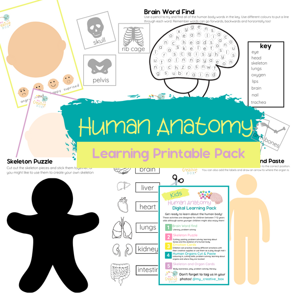 My Creative Box | Kids Human Anatomy Digital Learning Pack