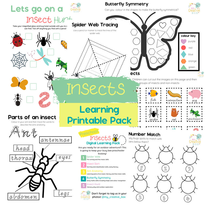 Preschool Insects Digital Learning Pack - My Creative Box
